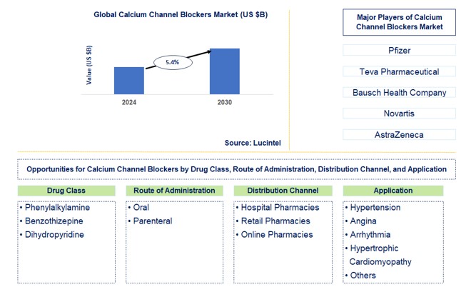 Calcium Channel Blockers Market Report: Trends, Forecast and ...