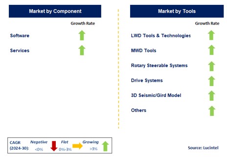 Geosteering Market Report: Trends, Forecast and Competitive Analysis to ...