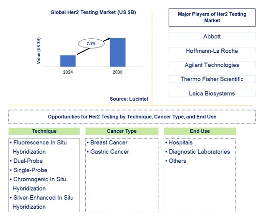 HER2 Testing Market Report: Trends, Forecast and Competitive Analysis ...