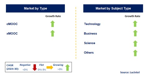Massive Open Online Course (MOOC) Market Report: Trends, Forecast and Competitive Analysis to 2030