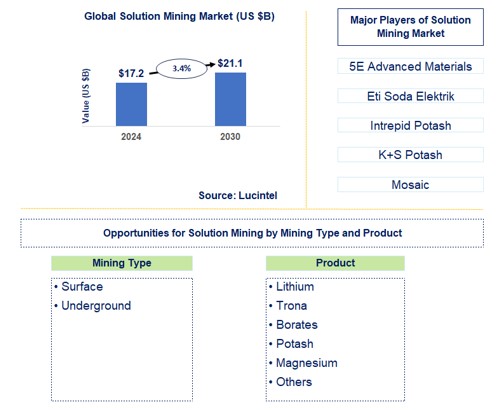 Solution Mining Market Report: Trends, Forecast and Competitive ...